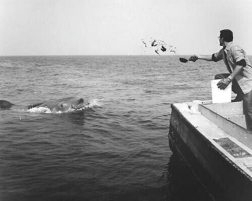 Jaws Roy Scheider throws out chum to shark in water 8x10 inch photo ...