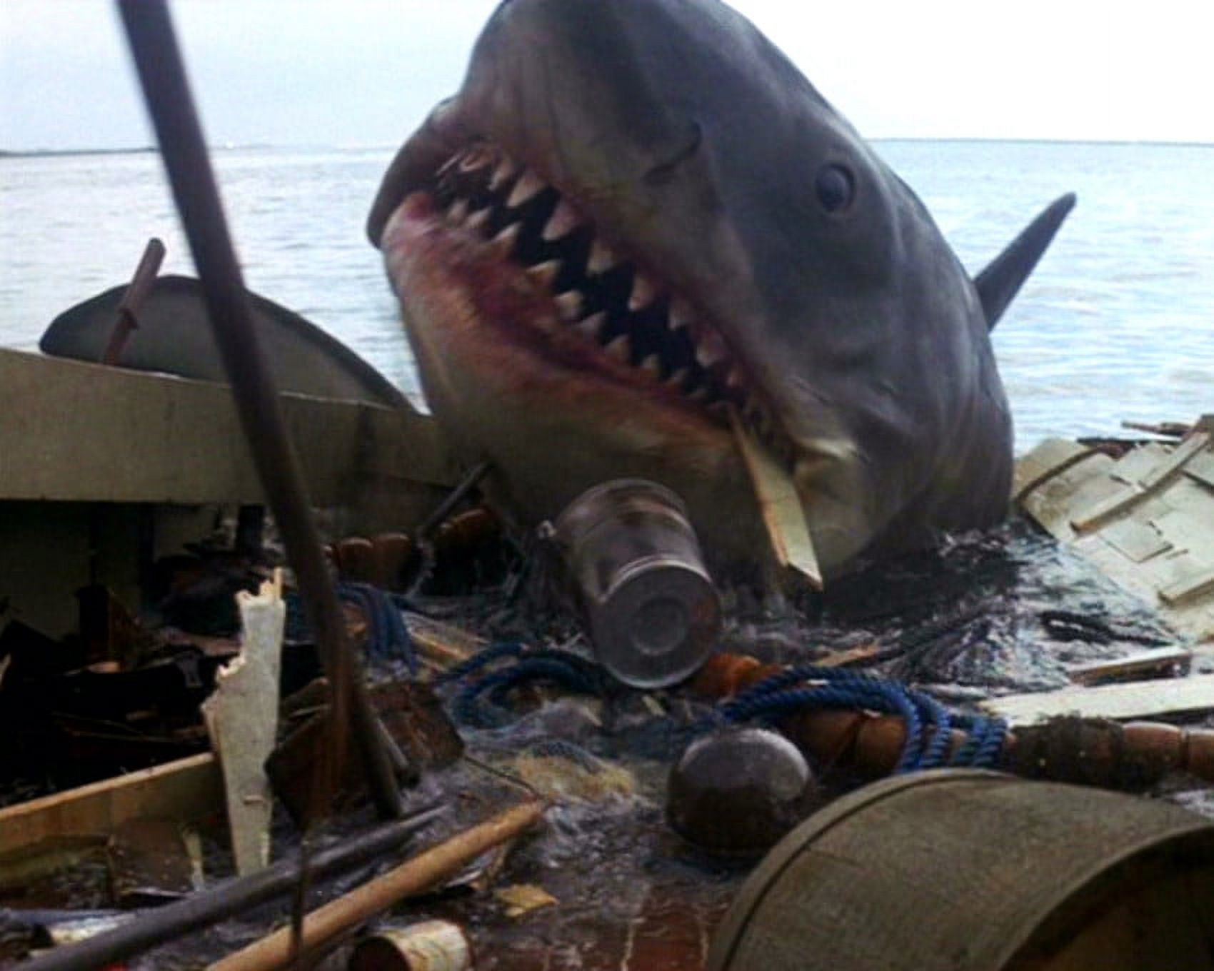 Jaws Shark Attacking Boat 24X36 Classic Hollywood Poster - Walmart.com