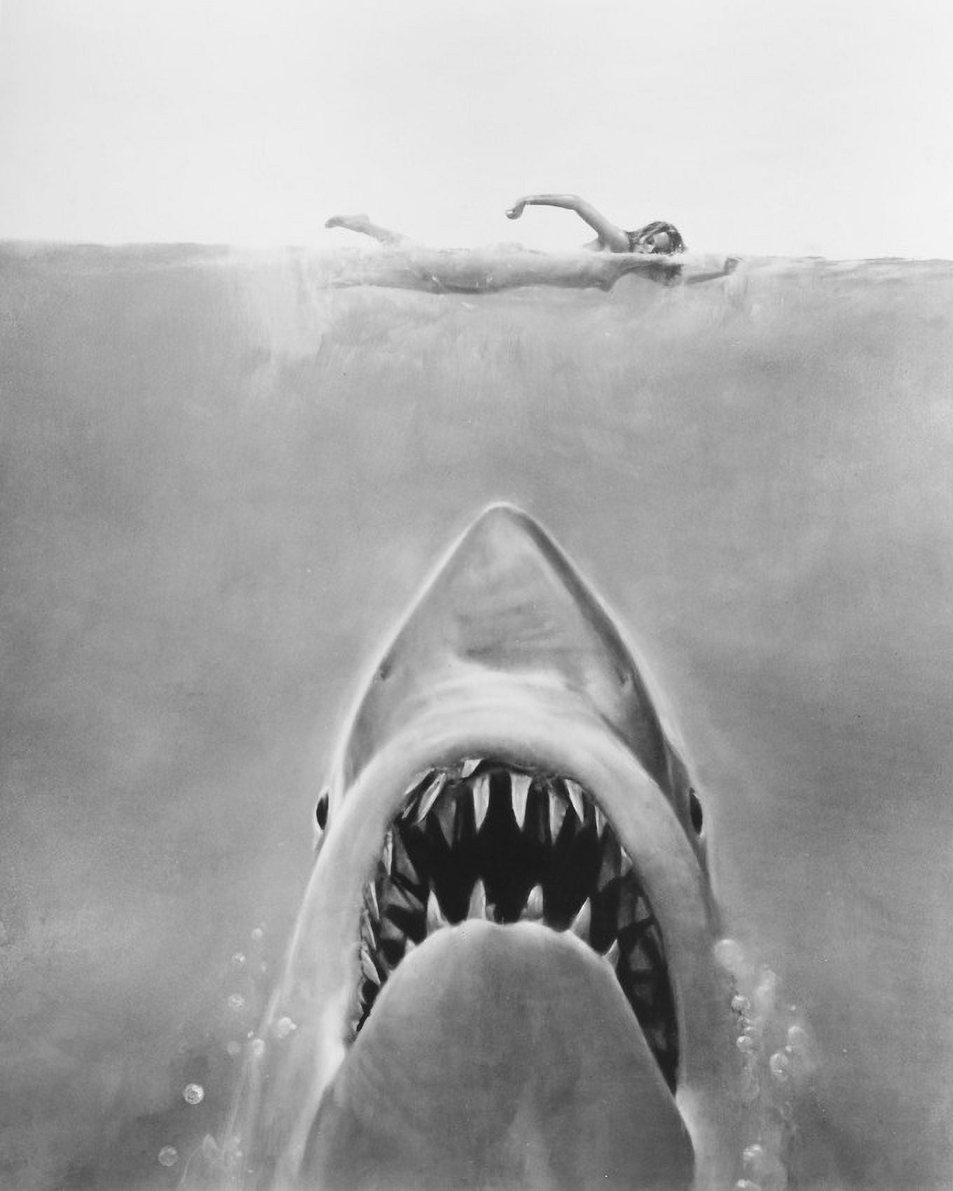 Jaws Shark & Swimmer 24x36 Classic Hollywood Poster - Walmart.com