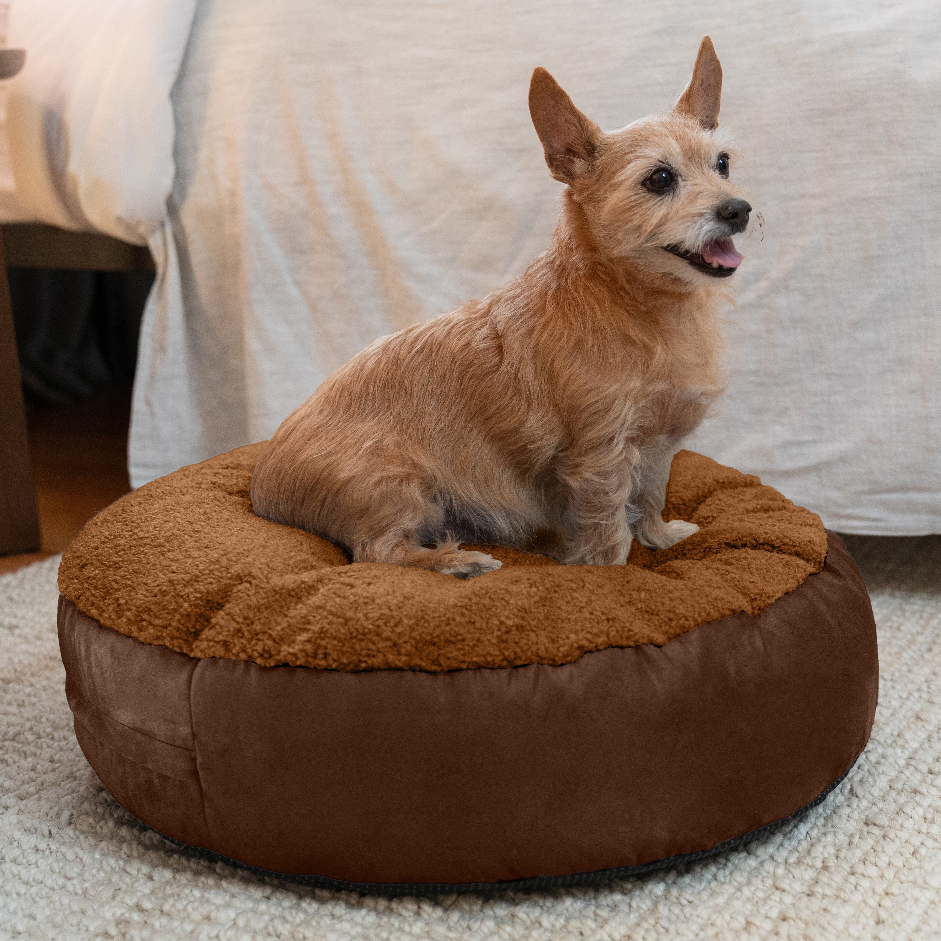 Jaxx Robbi Dog Bed Premium Synthetic-Fur Memory Foam Bean Bag Bed Small ...