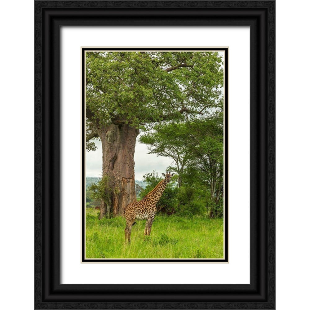 Jaynes Gallery 11x14 Black Ornate Wood Framed with Double Matting ...