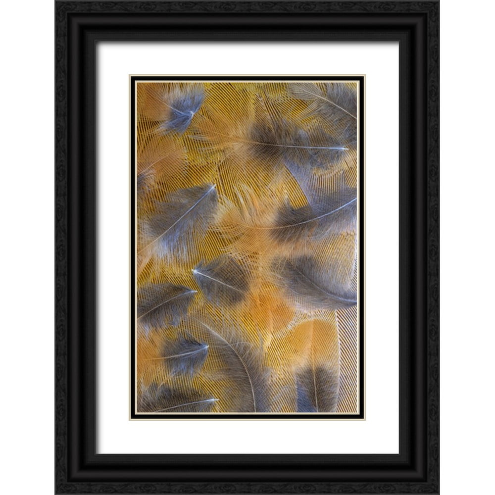 Jaynes Gallery 11x14 Black Ornate Wood Framed with Double Matting ...