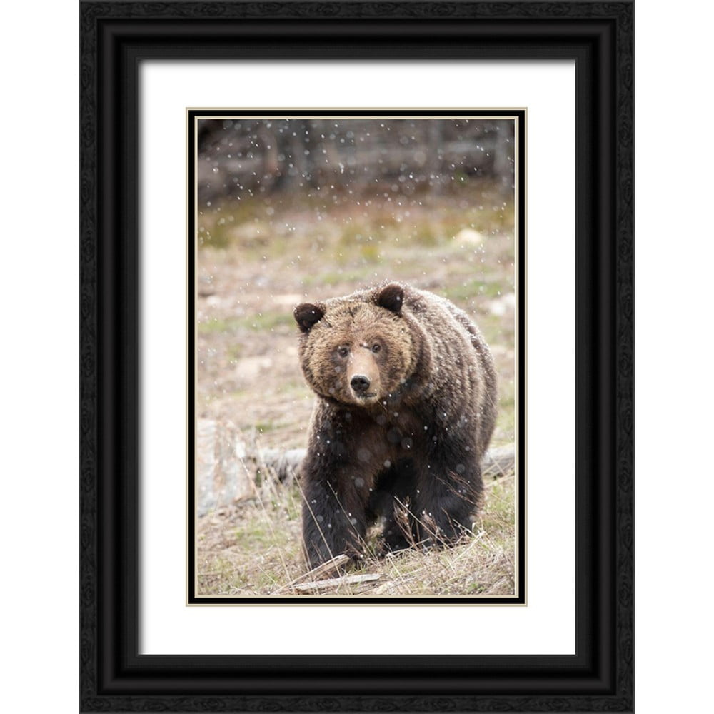 Jaynes Gallery 11x14 Black Ornate Wood Framed with Double Matting ...