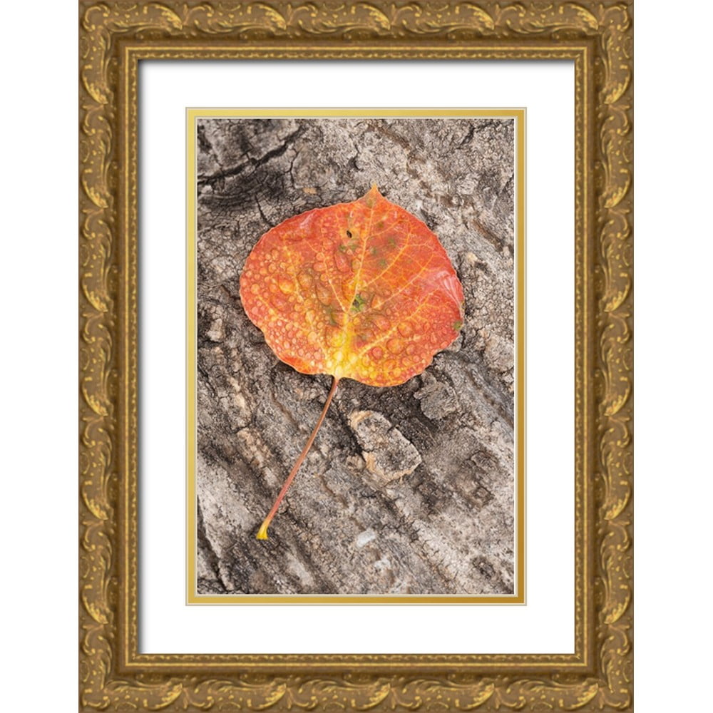 Jaynes Gallery 11x14 Gold Ornate Wood Framed with Double Matting Museum ...