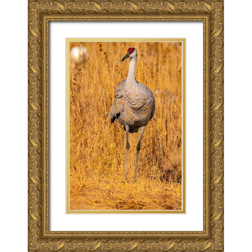 Jaynes Gallery 11x14 Gold Ornate Wood Framed with Double Matting Museum ...