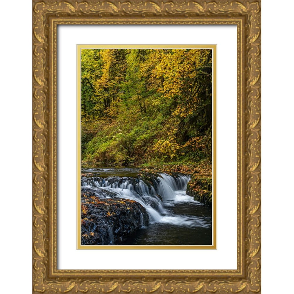 Jaynes Gallery 11x14 Gold Ornate Wood Framed with Double Matting Museum ...