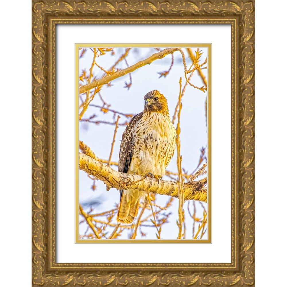 Jaynes Gallery 11x14 Gold Ornate Wood Framed with Double Matting Museum Art Print Titled - USA ...