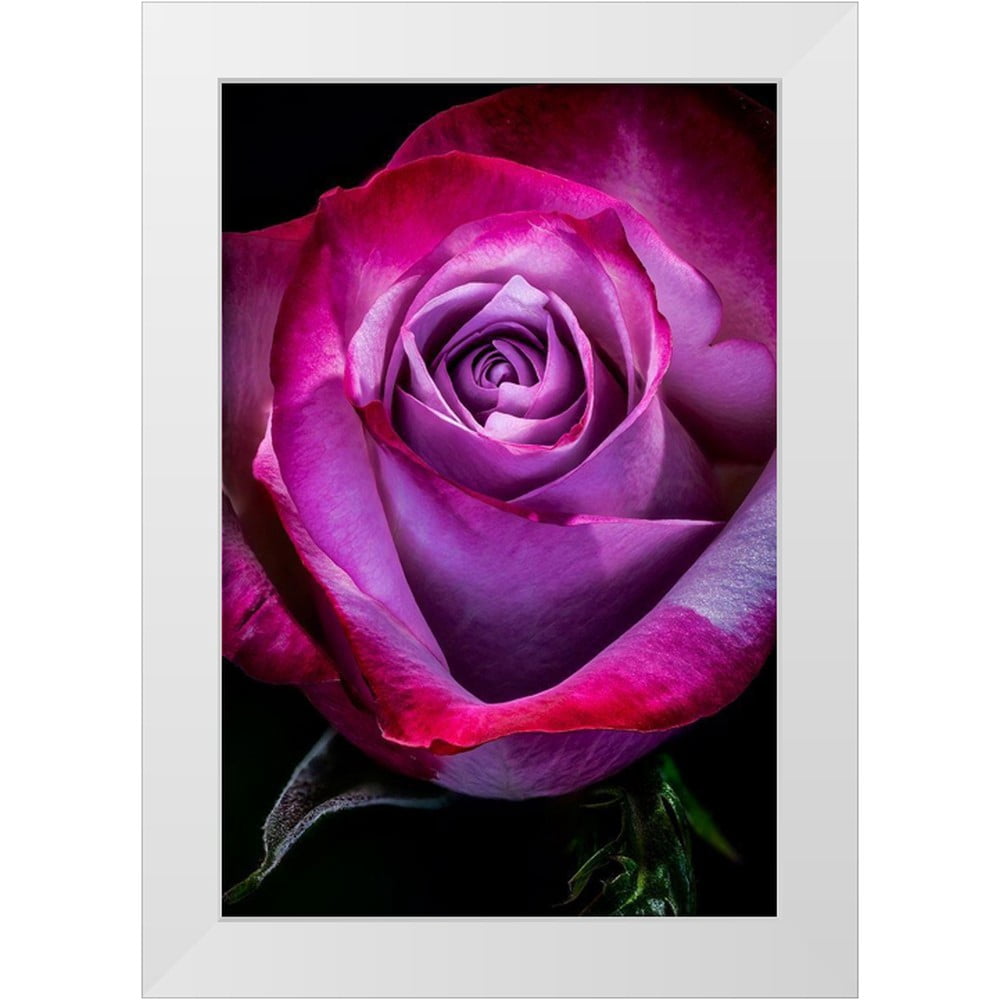 Jaynes Gallery 11x14 White Modern Wood Framed Museum Art Print Titled ...