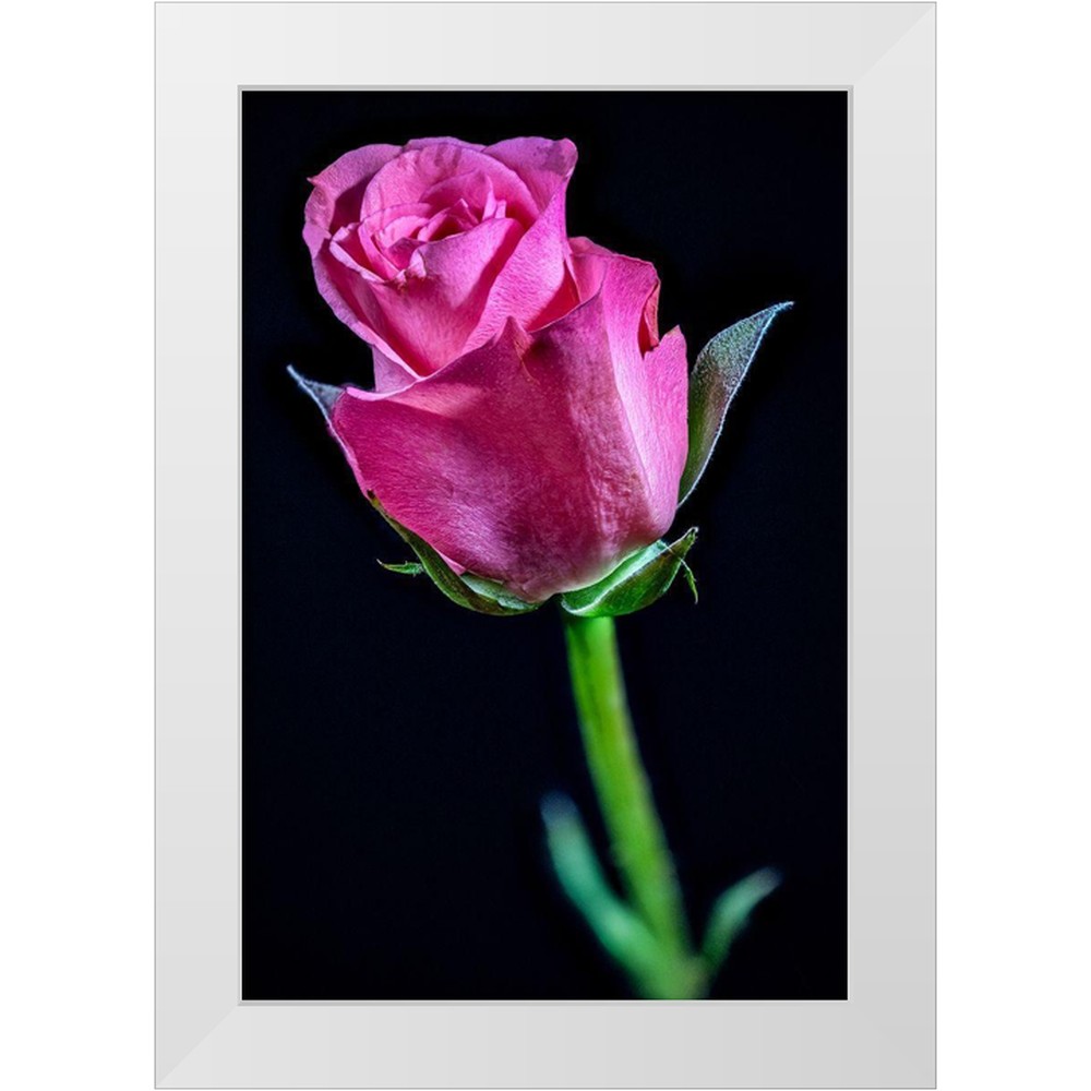 Jaynes Gallery 11x14 White Modern Wood Framed Museum Art Print Titled ...