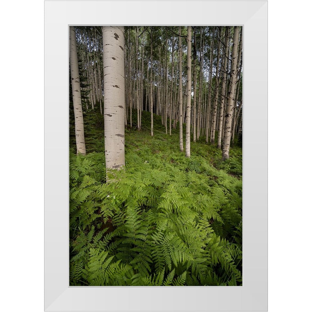 Jaynes Gallery 11x14 White Modern Wood Framed Museum Art Print Titled ...