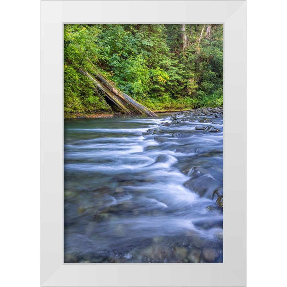 Jaynes Gallery 11x14 White Modern Wood Framed Museum Art Print Titled - USA-Washington State ...