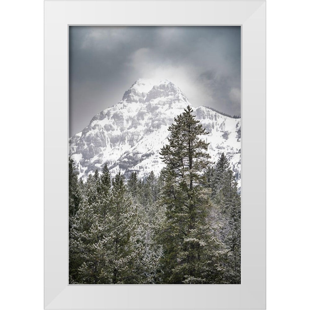 Jaynes Gallery 11x14 White Modern Wood Framed Museum Art Print Titled ...
