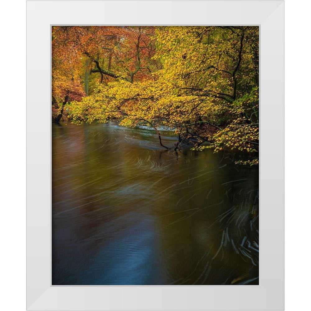 Jaynes Gallery 12x14 White Modern Wood Framed Museum Art Print Titled ...