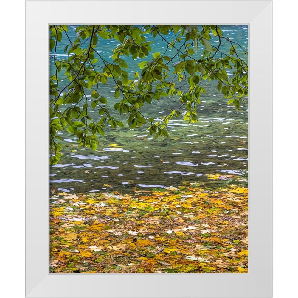Jaynes Gallery 12x14 White Modern Wood Framed Museum Art Print Titled ...