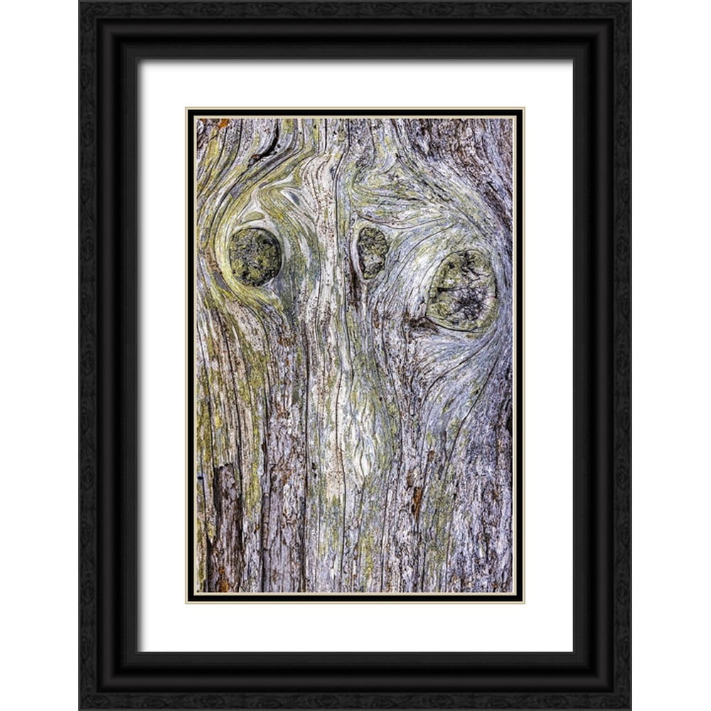 Jaynes Gallery 13x18 Black Ornate Wood Framed with Double Matting Museum Art Print Titled - USA ...