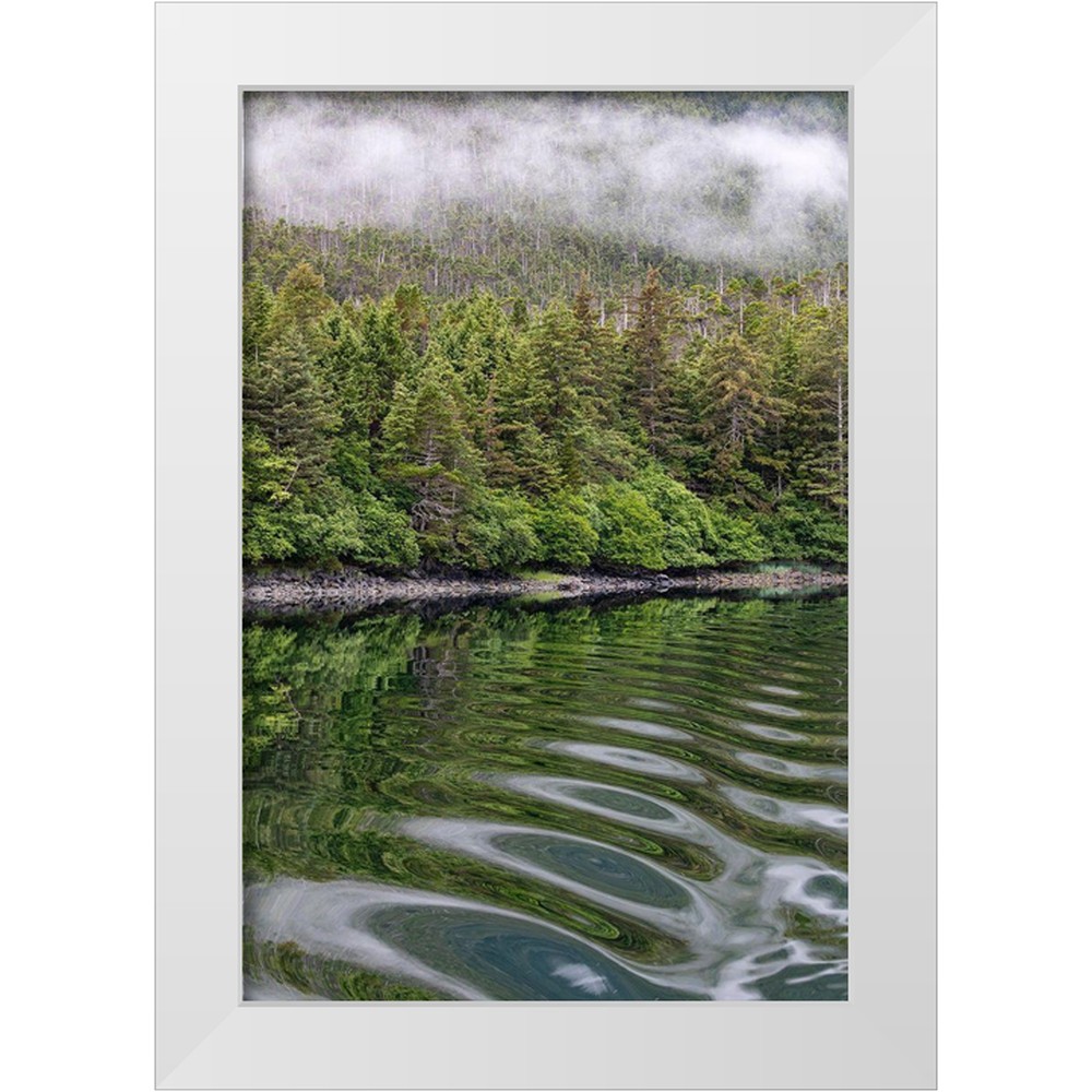 Jaynes Gallery 13x18 White Modern Wood Framed Museum Art Print Titled ...