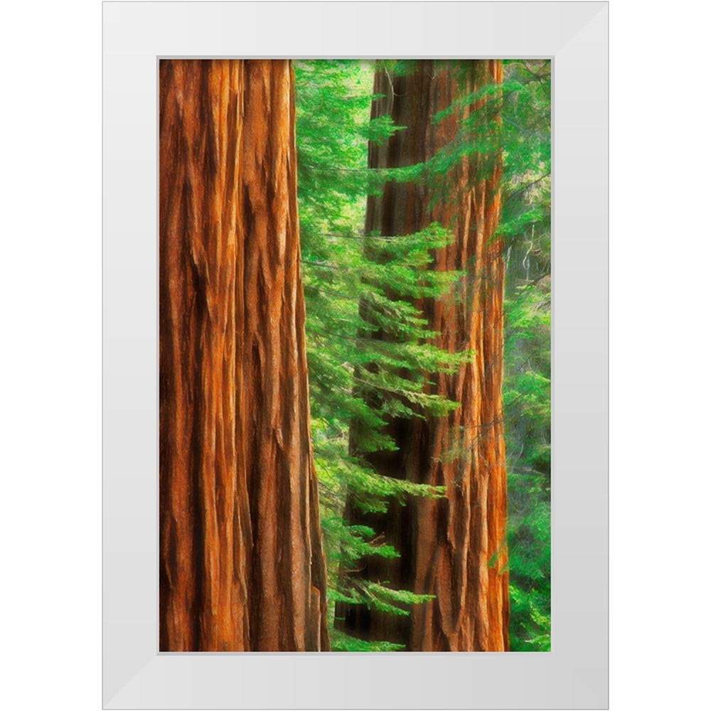 Jaynes Gallery 13x18 White Modern Wood Framed Museum Art Print Titled ...