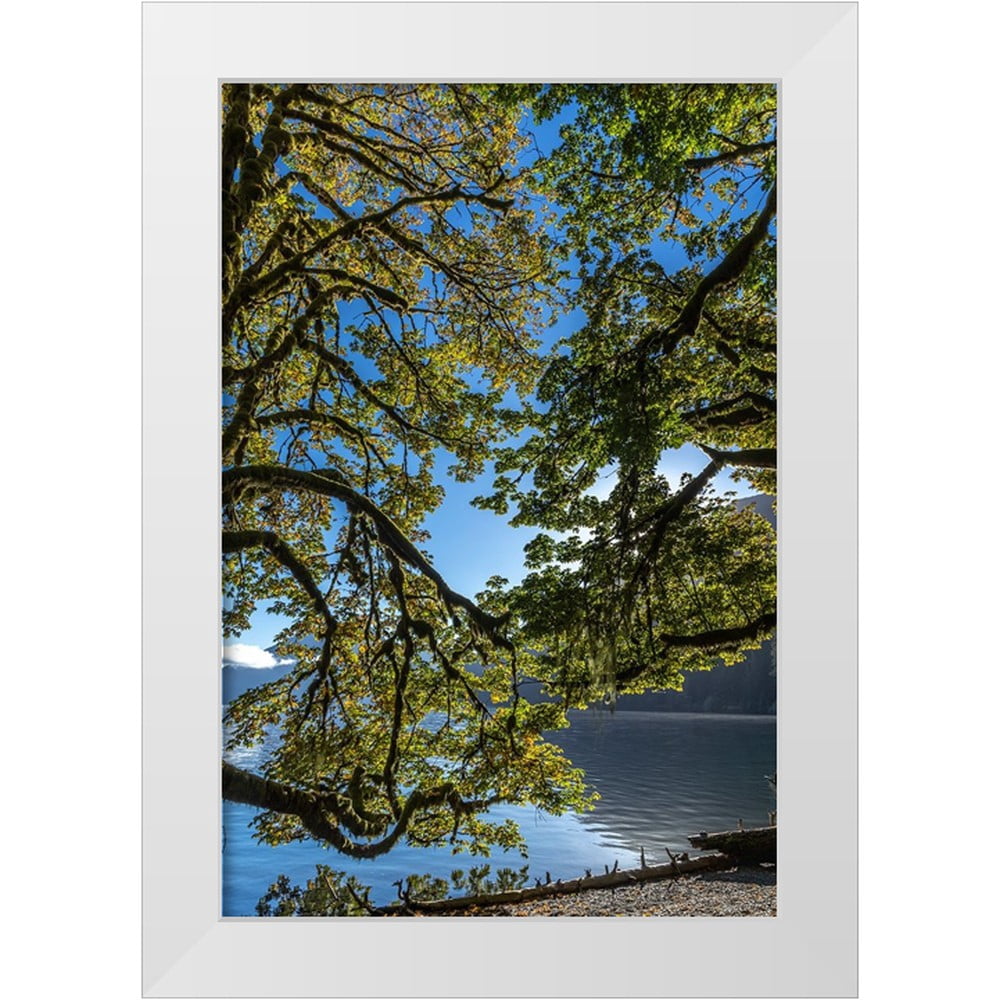 Jaynes Gallery 13x18 White Modern Wood Framed Museum Art Print Titled ...