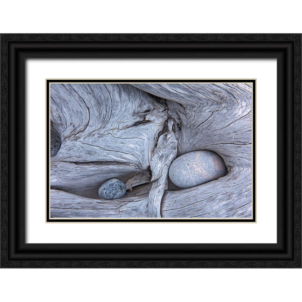Jaynes Gallery 14x11 Black Ornate Wood Framed with Double Matting ...