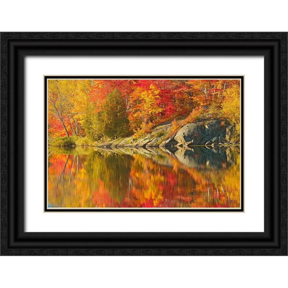 Jaynes Gallery 14x11 Black Ornate Wood Framed with Double Matting ...