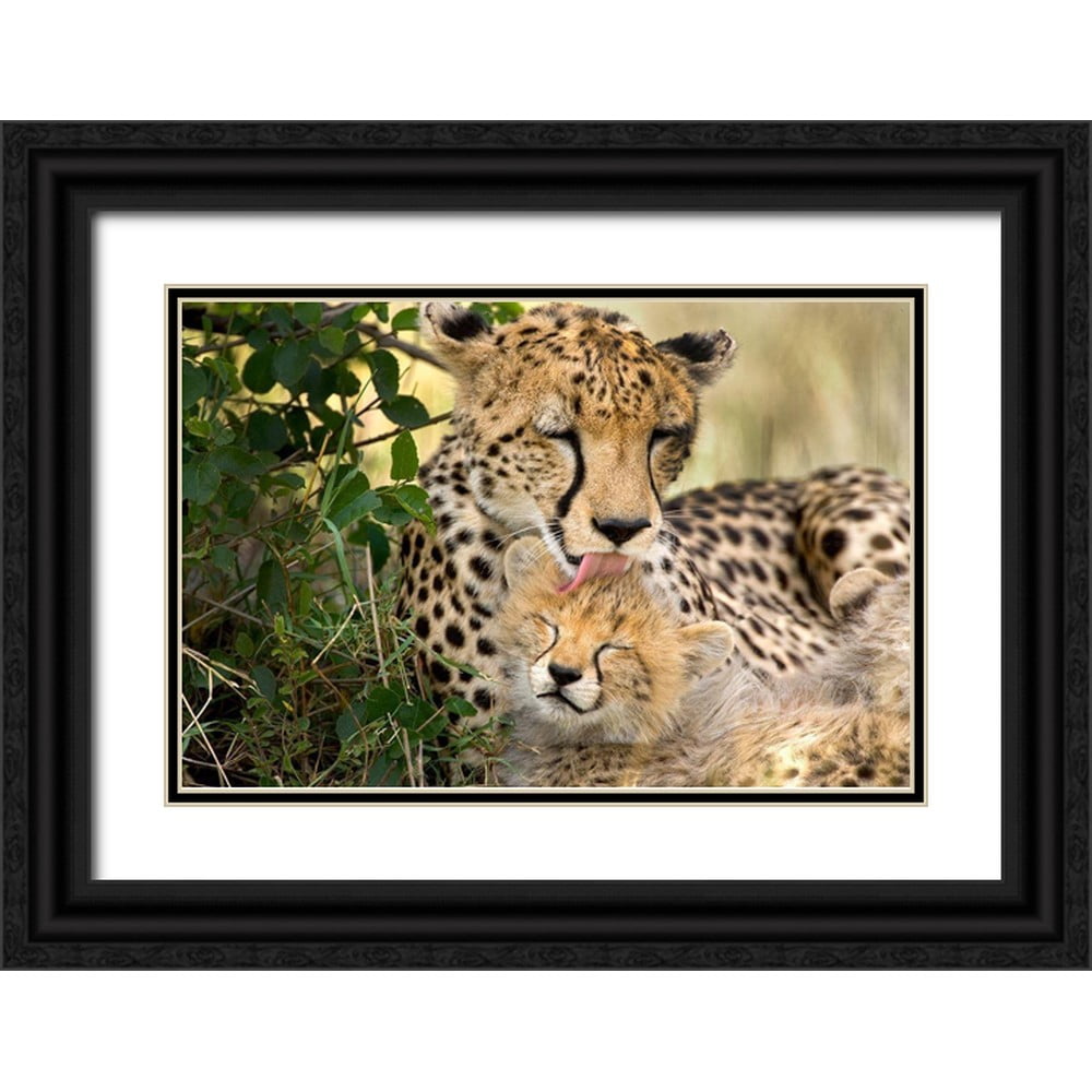 Jaynes Gallery 14x11 Black Ornate Wood Framed with Double Matting ...