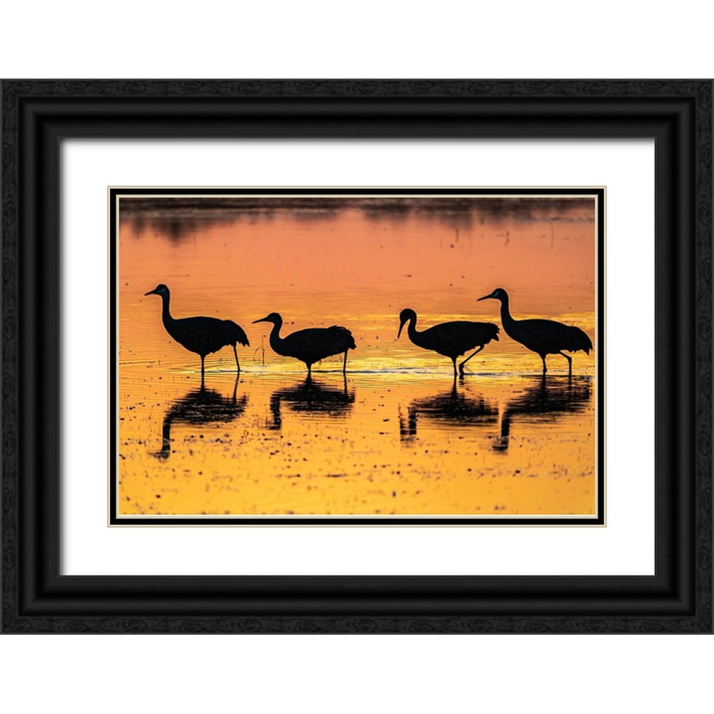 Jaynes Gallery 14x11 Black Ornate Wood Framed with Double Matting ...