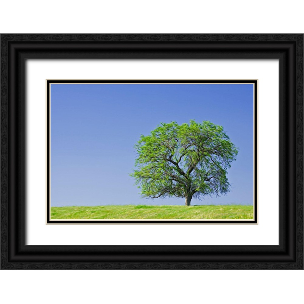 Jaynes Gallery 14x11 Black Ornate Wood Framed with Double Matting ...