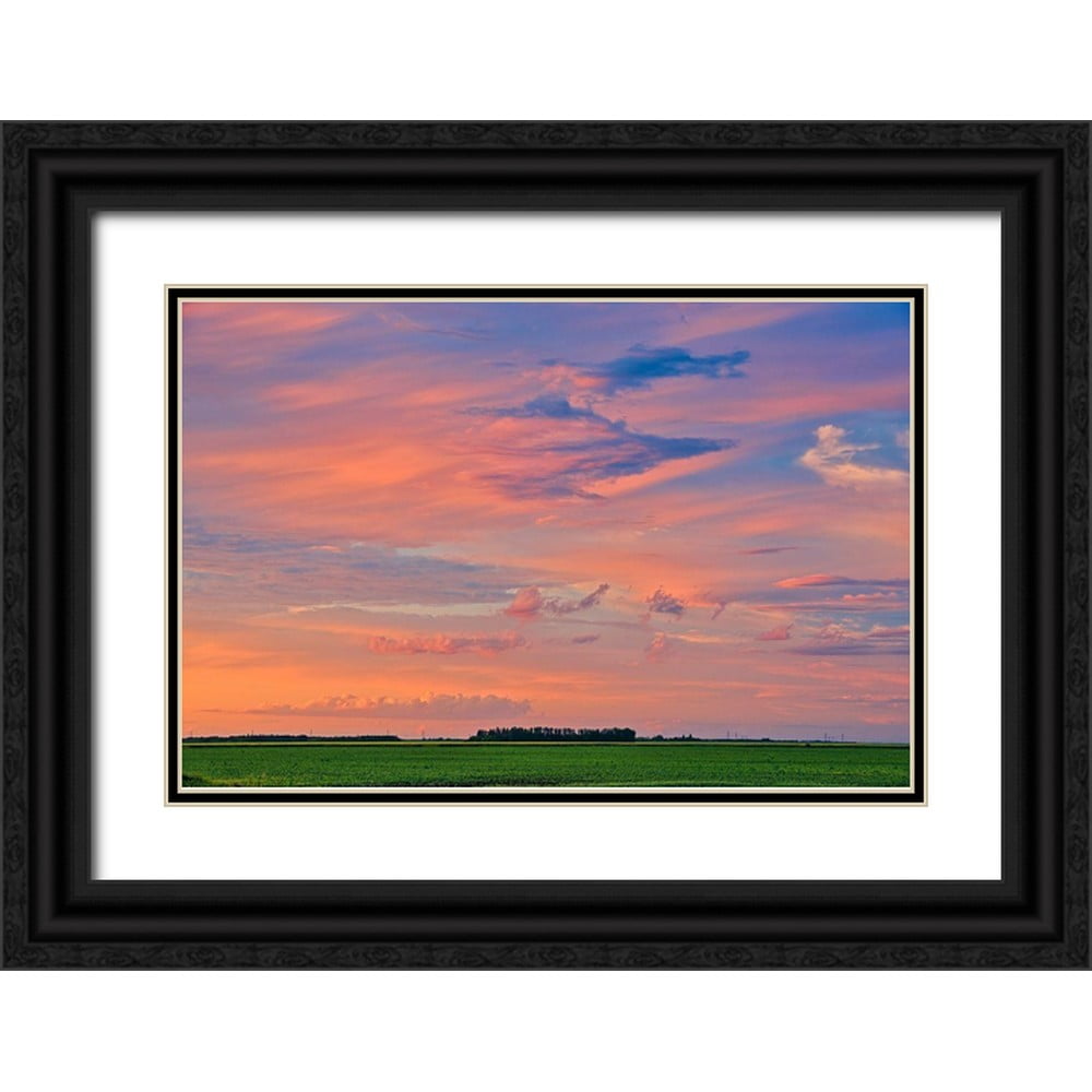 Jaynes Gallery 14x11 Black Ornate Wood Framed with Double Matting ...