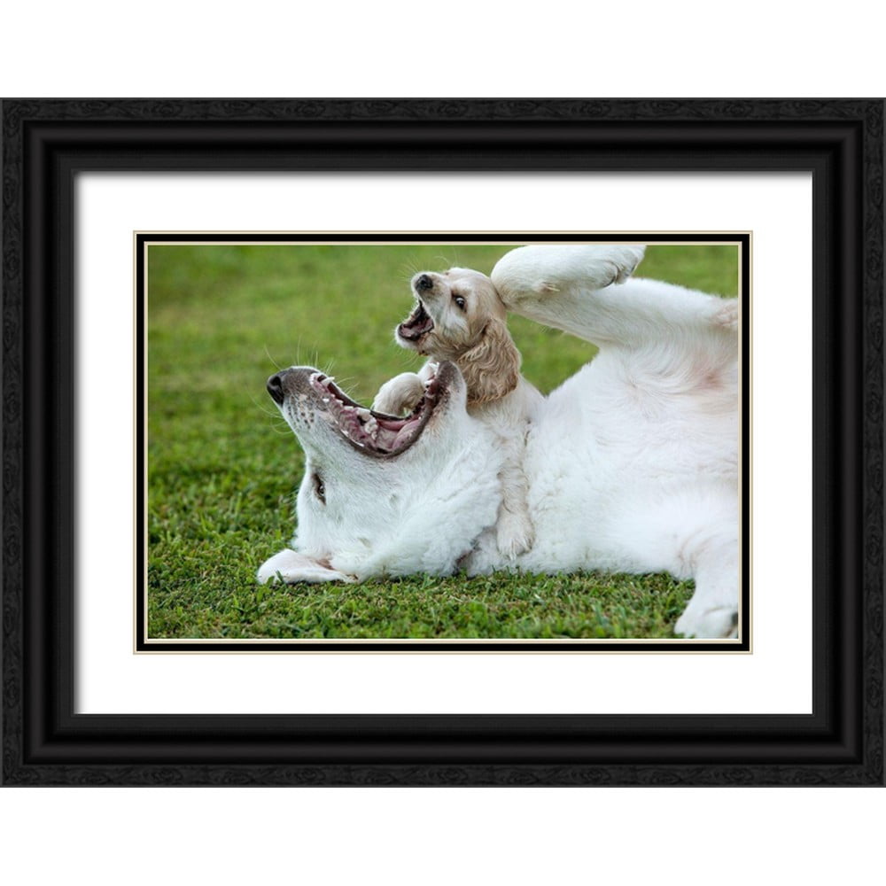 Jaynes Gallery 14x11 Black Ornate Wood Framed with Double Matting ...