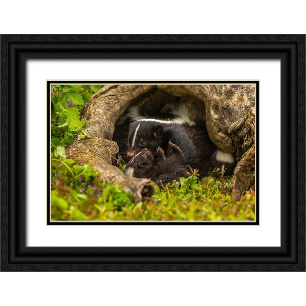 Jaynes Gallery 14x11 Black Ornate Wood Framed with Double Matting ...