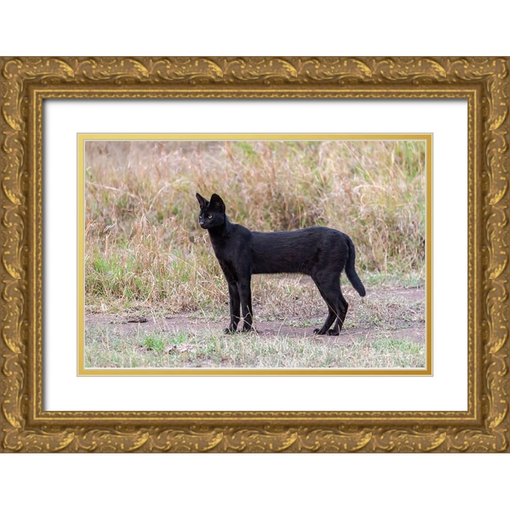 Jaynes Gallery 14x11 Gold Ornate Wood Framed with Double Matting Museum ...