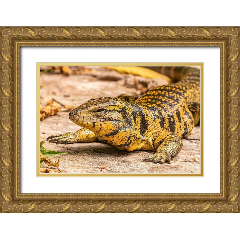 Jaynes Gallery 14x11 Gold Ornate Wood Framed with Double Matting Museum ...