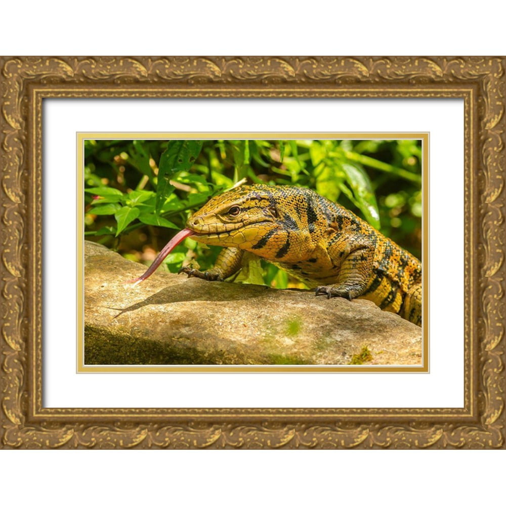 Jaynes Gallery 14x11 Gold Ornate Wood Framed with Double Matting Museum ...