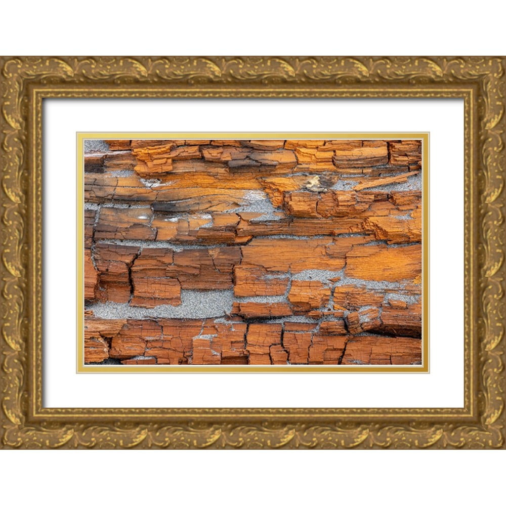 Jaynes Gallery 14x11 Gold Ornate Wood Framed with Double Matting Museum ...