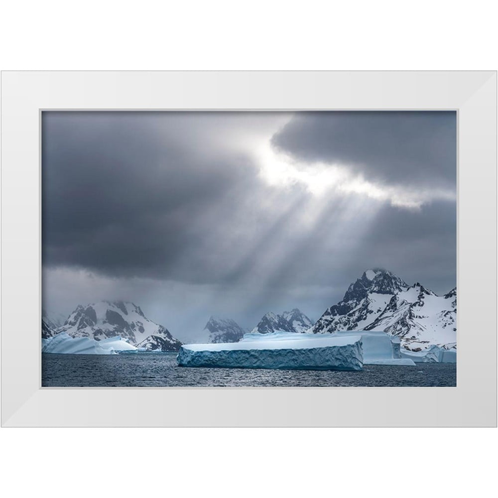 Jaynes Gallery 14x11 White Modern Wood Framed Museum Art Print Titled - Antarctica-South Georgia ...