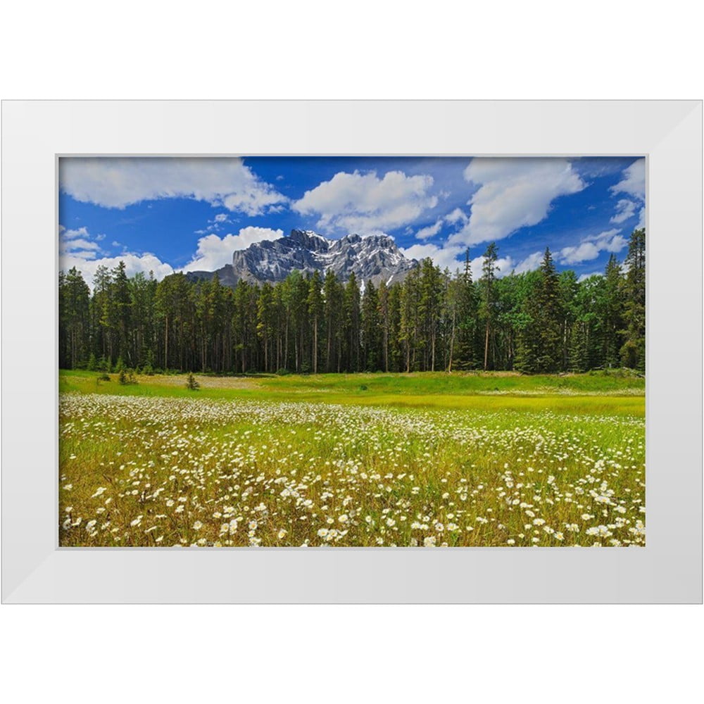 Jaynes Gallery 14x11 White Modern Wood Framed Museum Art Print Titled ...