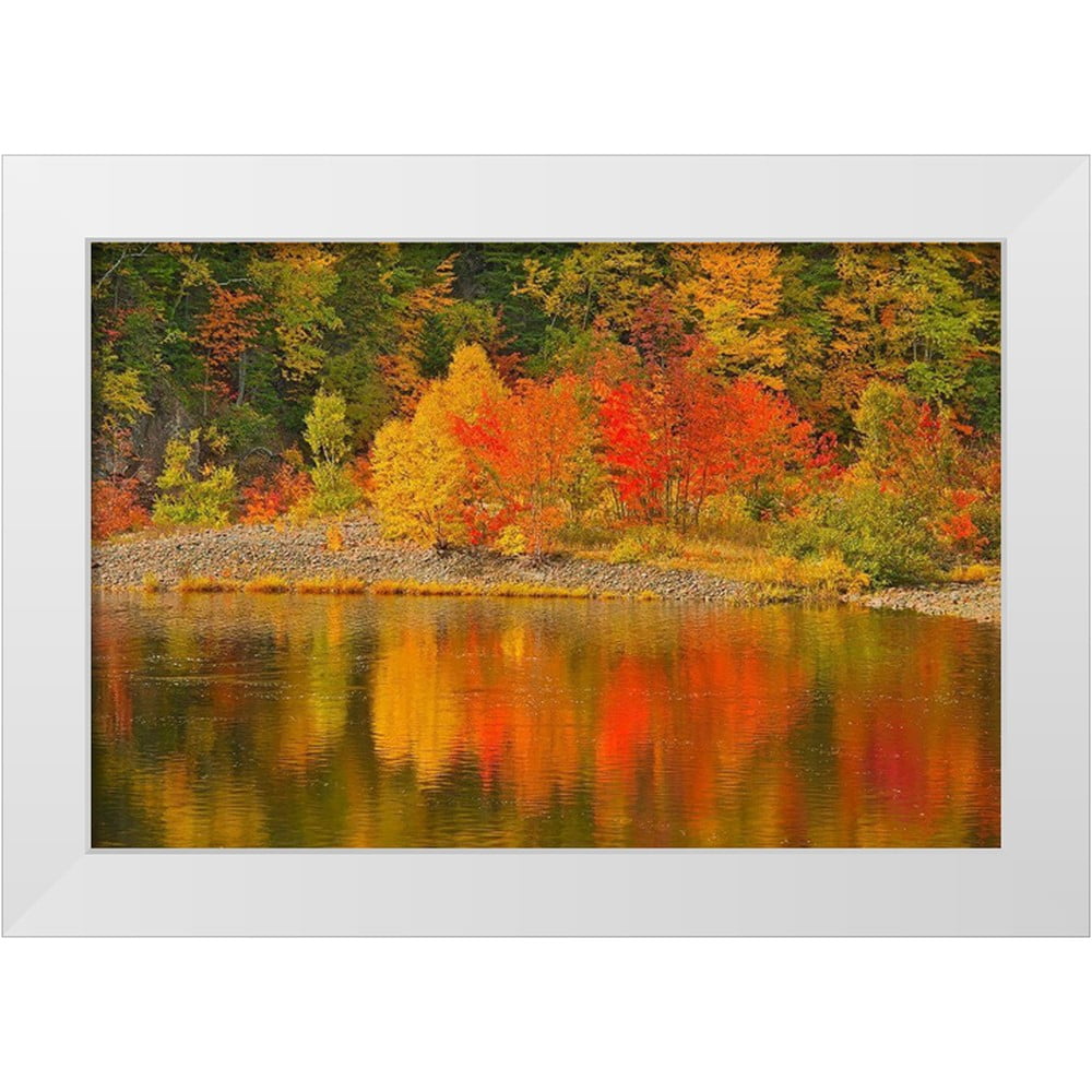 Jaynes Gallery 14x11 White Modern Wood Framed Museum Art Print Titled ...