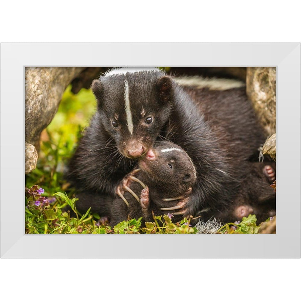 Jaynes Gallery 14x11 White Modern Wood Framed Museum Art Print Titled ...