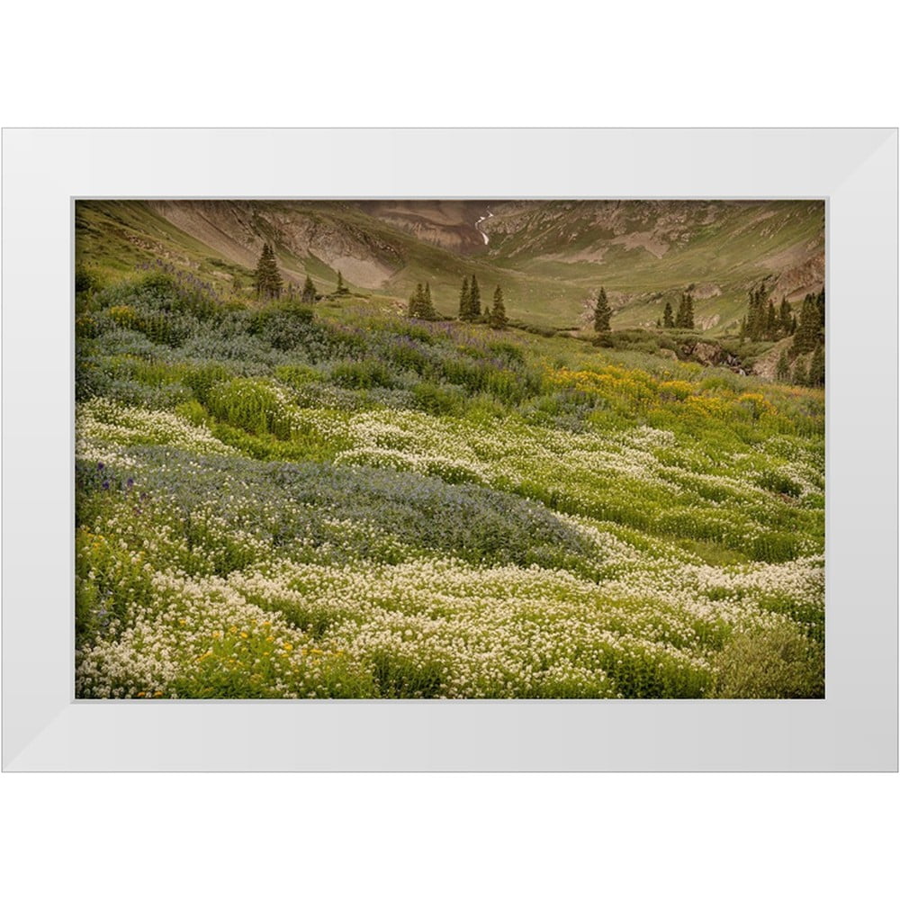 Jaynes Gallery 14x11 White Modern Wood Framed Museum Art Print Titled ...