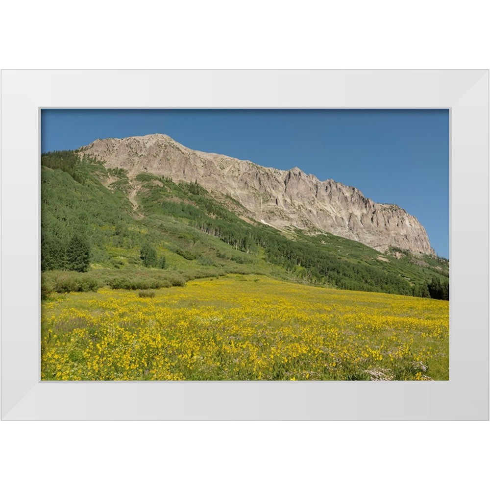 Jaynes Gallery 14x11 White Modern Wood Framed Museum Art Print Titled ...
