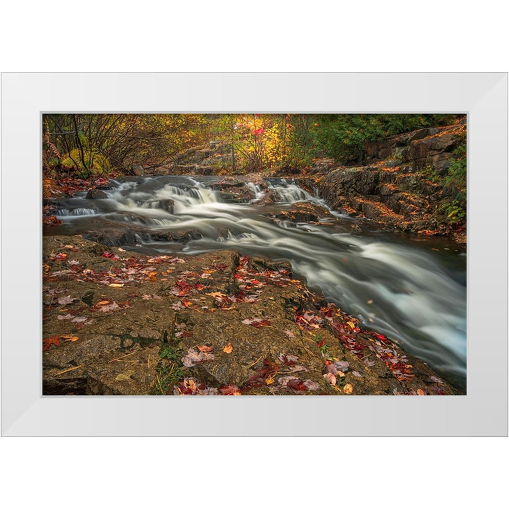 Jaynes Gallery 14x11 White Modern Wood Framed Museum Art Print Titled - USA-Maine-Acadia ...