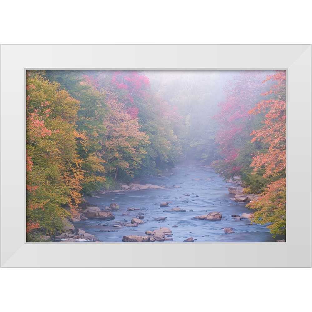 Jaynes Gallery 14x11 White Modern Wood Framed Museum Art Print Titled ...