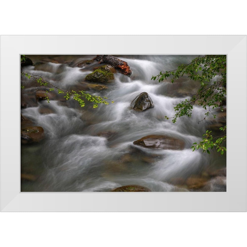 Jaynes Gallery 14x11 White Modern Wood Framed Museum Art Print Titled - Washington State-Olympic ...