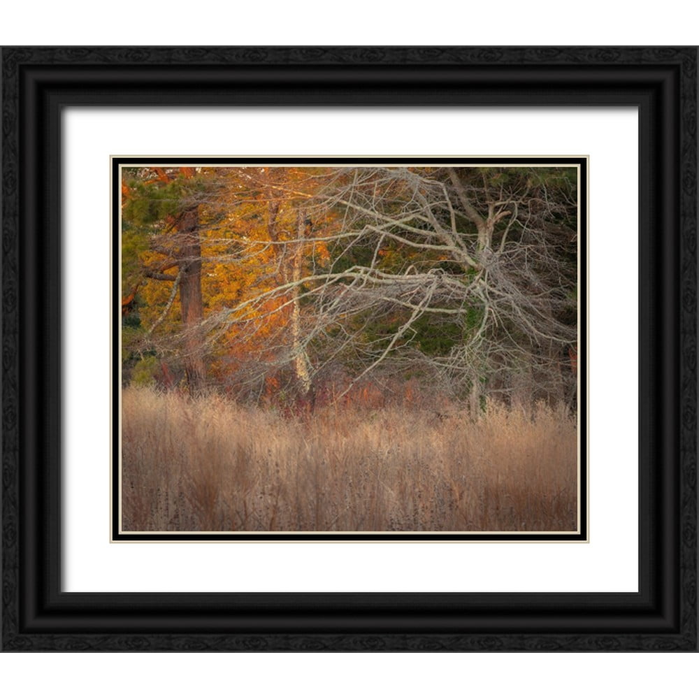 Jaynes Gallery 14x12 Black Ornate Wood Framed with Double Matting ...