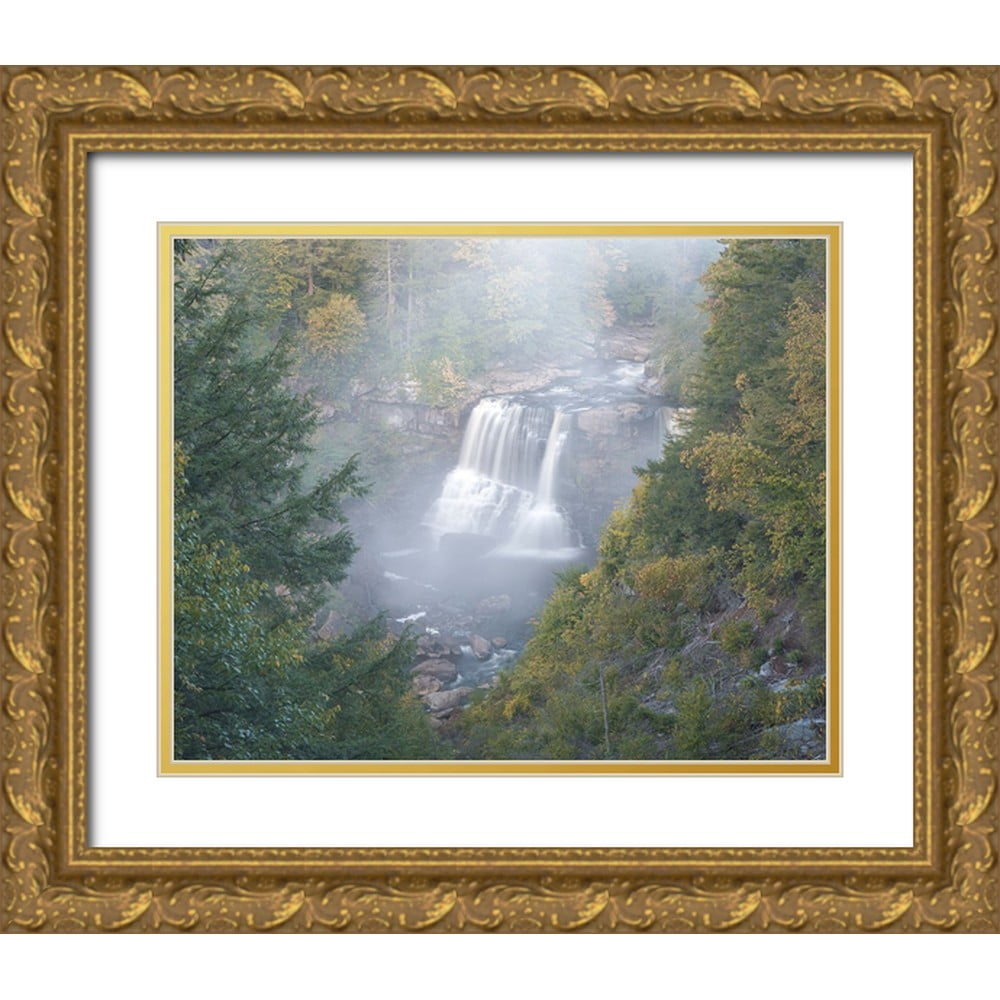 Jaynes Gallery 14x12 Gold Ornate Wood Framed with Double Matting Museum ...