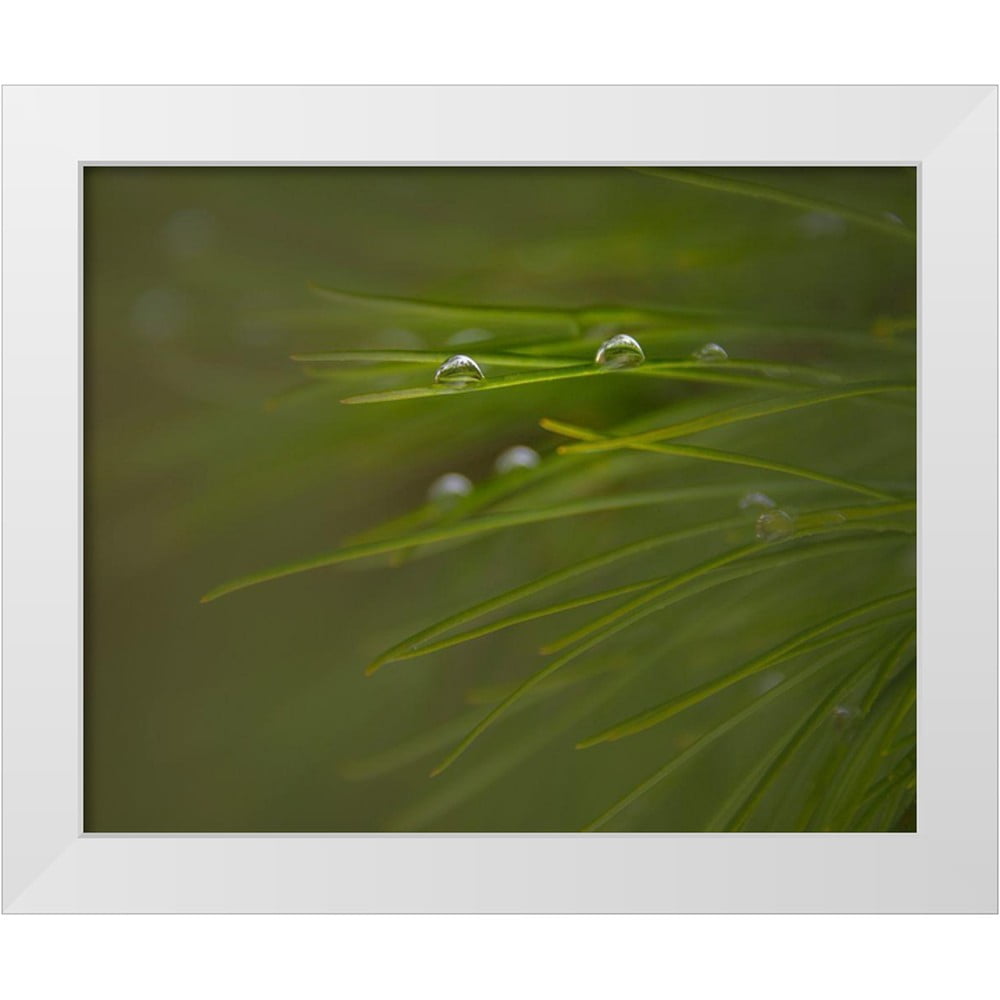 Jaynes Gallery 14x12 White Modern Wood Framed Museum Art Print Titled ...