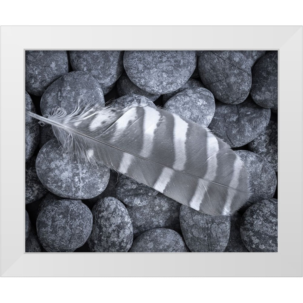 Jaynes Gallery 14x12 White Modern Wood Framed Museum Art Print Titled ...