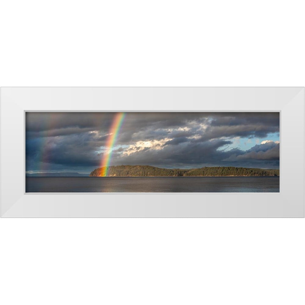 Jaynes Gallery 14x7 White Modern Wood Framed Museum Art Print Titled ...