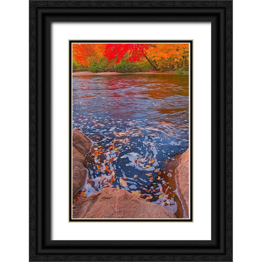 Jaynes Gallery 17x24 Black Ornate Wood Framed with Double Matting ...