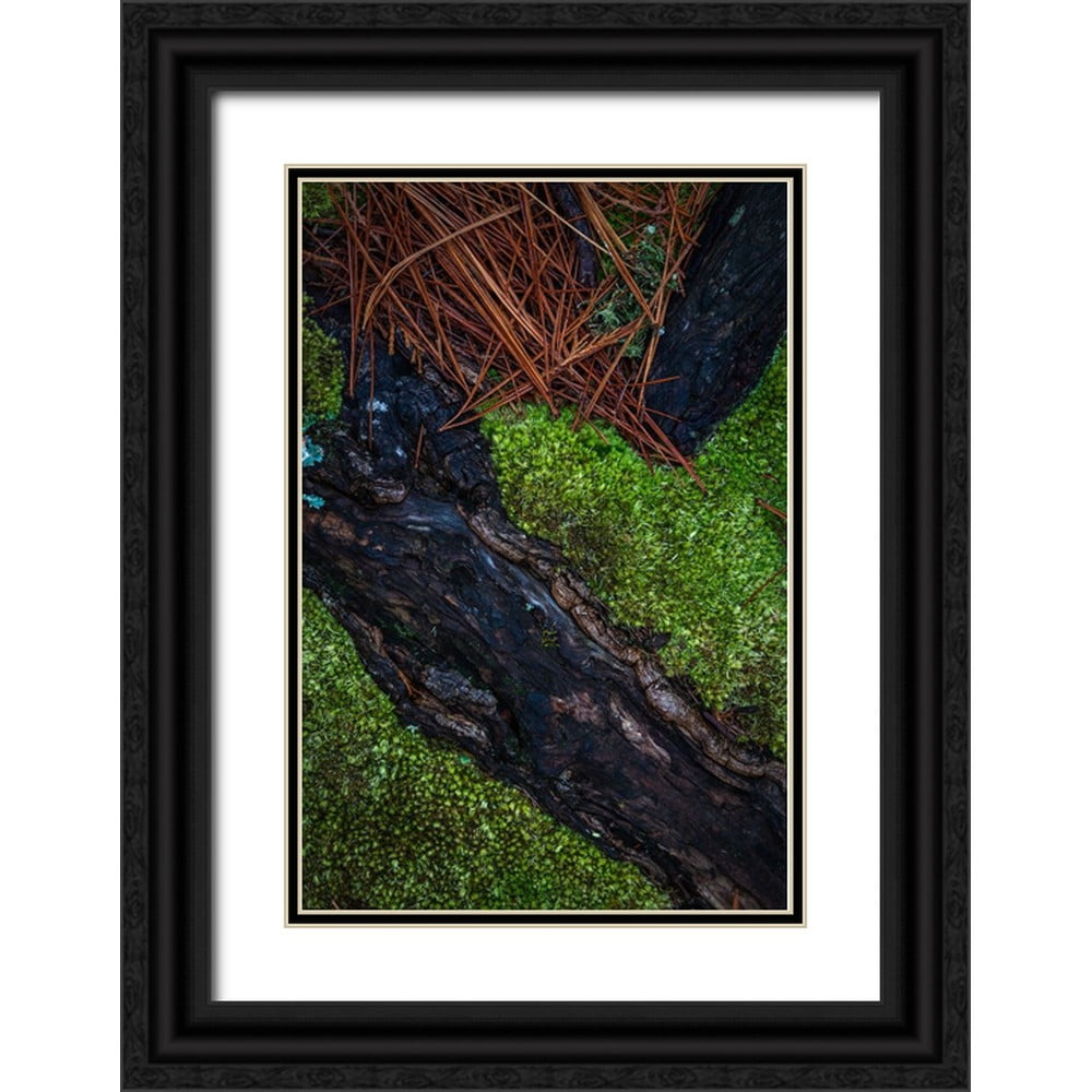 Jaynes Gallery 17x24 Black Ornate Wood Framed with Double Matting ...